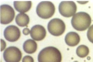 Dew as a physical phenomenon – OPUR – International Organization For ...